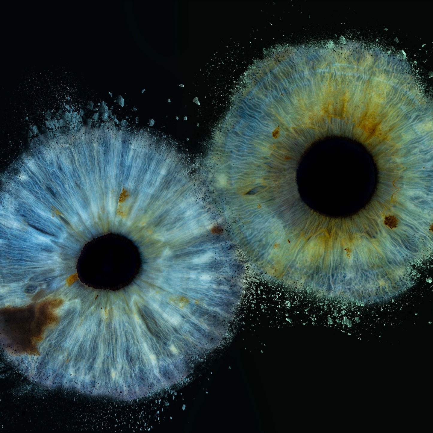 Iris & Insight - Gala for Animals 2025: Treats at Tiffany's